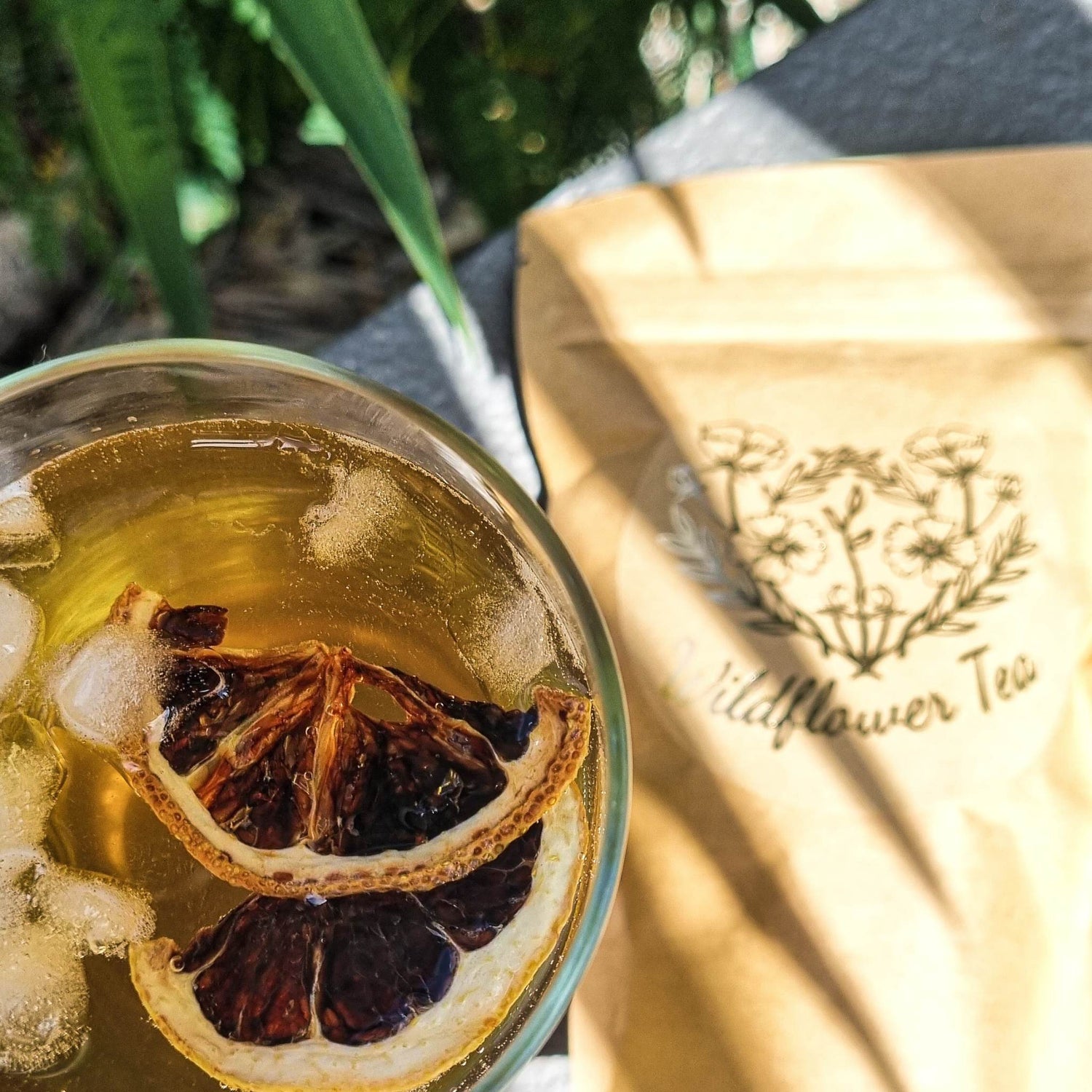 How Wildflower Started – Wildflower Tea